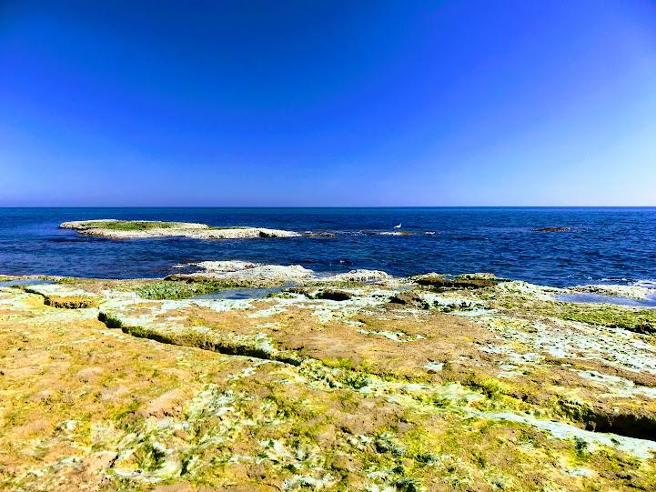 Cala de cabo Cervera | This Is Torrevieja - Torrevieja news and events